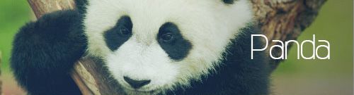 China Tours, Private Tour Packages to Discover the Real China in Your Way