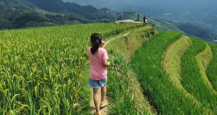 5-Day Guilin Family Tour — Nature and Countryside Fun