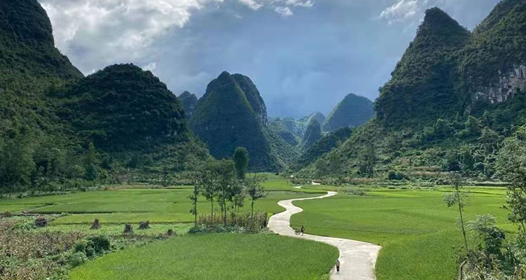 5-Day Guizhou Spring Tour — Experience the Vitality