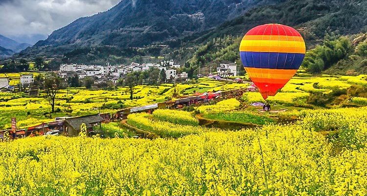 3-Day Wuyuan Spring Tour