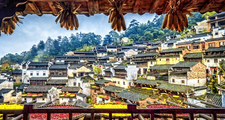 3-Day Wuyuan Spring Tour
