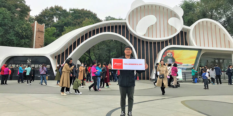 Half-Day Chengdu Pandas Tour