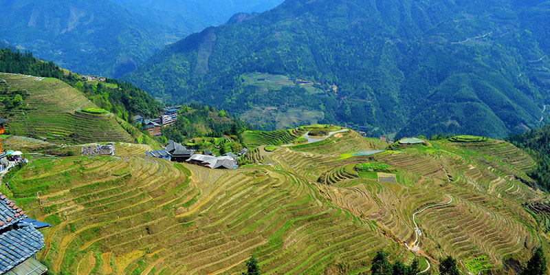 One-Day Longji Rice Terraced Fields and Minority Villages Tour