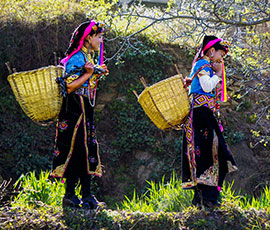 6 Days Western Sichuan Tour, an Adventure from Chengdu