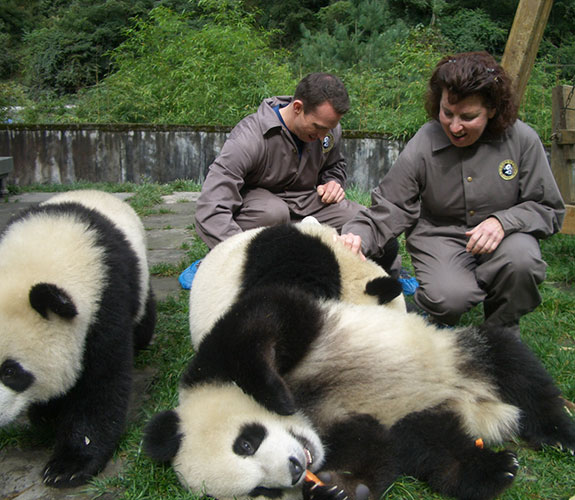 5-Day Chengdu and Hailuogou Tour — Song of Ice and Fire