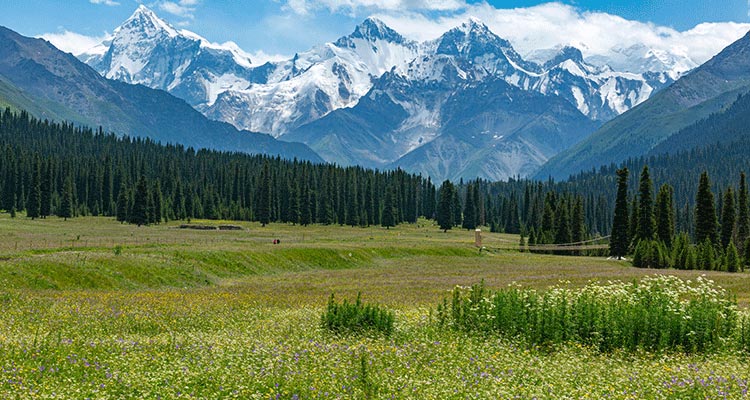 8-Day Xinjiang Tour with Ili River Valley