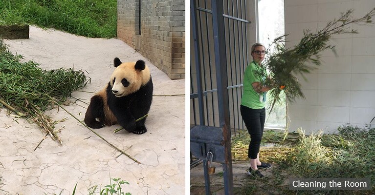 12 Days China Essence Tours, Visit the Best of China and Join in the ...