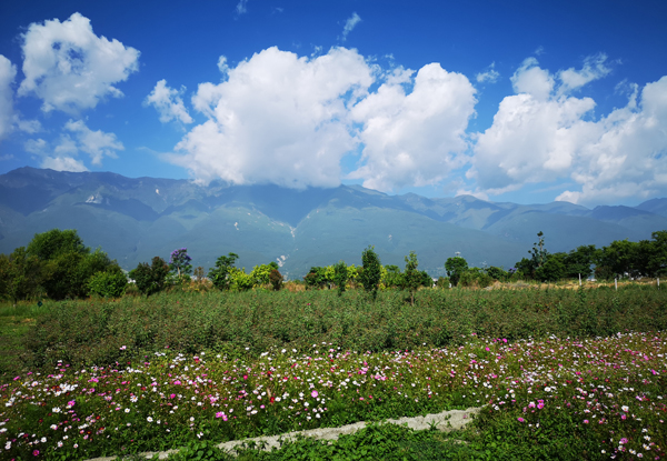 Yunnan Tours, Trips to Kunming, Dali, Lijiang, Shangri-La