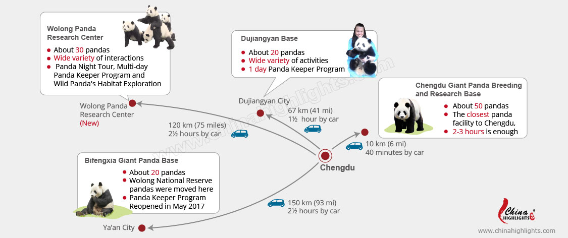 China Panda Tours, Be a Panda Keeper, Learn More about Pandas