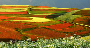 The Best Places to Visit and Things to Do in China