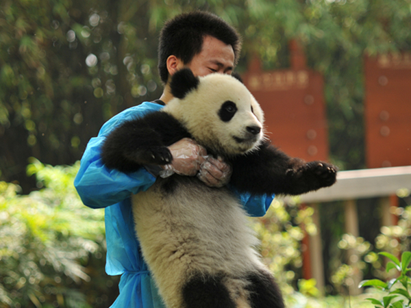 China Travel, Best Guide and Tips from Travel Expert